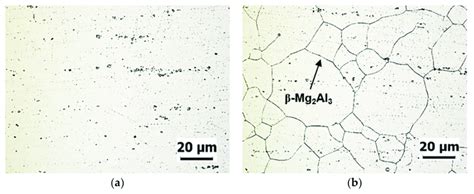 The microstructure of the extruded AlMg6 alloy with the specimen of (a ...
