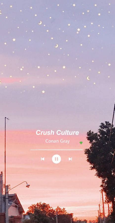 Download Aesthetic Music Of Crush Culture By Conan Gray Wallpaper