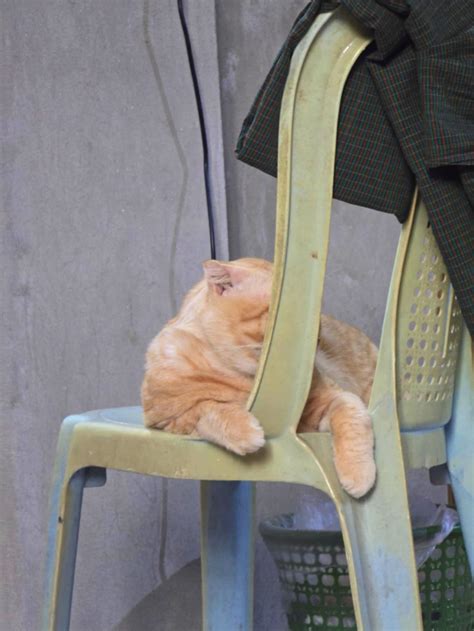 ချောပုလုံးမိသားစု လောကကြီးကိုမျက်ကွယ်ပြုလိုက်ပါပီ😑 Facebook