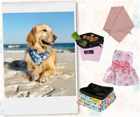Летние товары для животных: 40 незаменимых вещиц, которые помогут ...