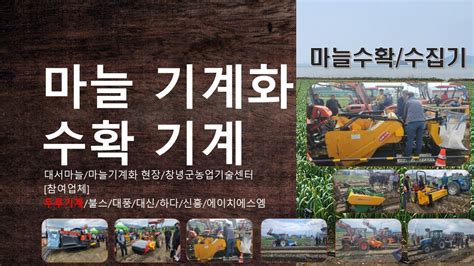두루기계통상 마늘 수확기and수집기 Youtube
