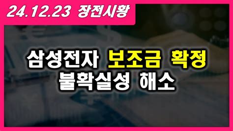 장전시황 】 삼성전자 보조금 확정 불확실성 해소 Youtube