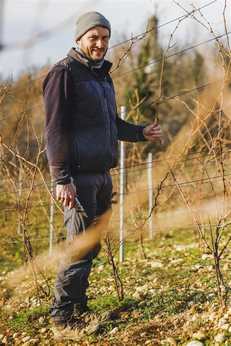 Ils font bouger l Isère Steve Chapelin le vigneron qui ressuscite les vignes iséroises