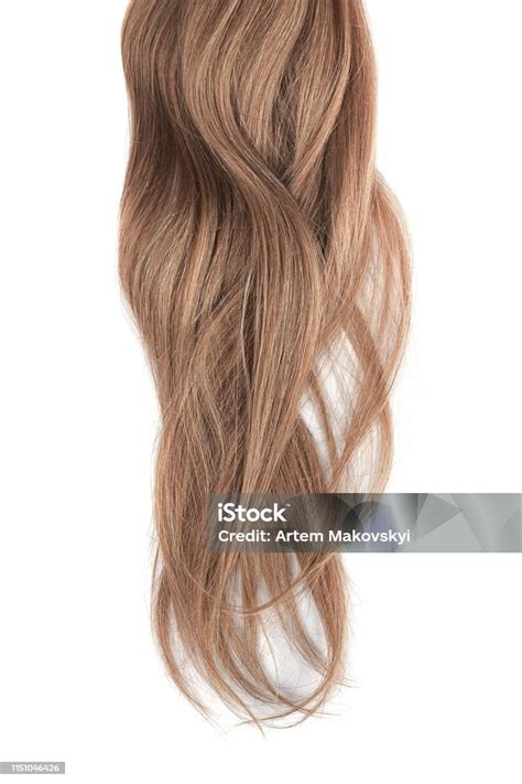 흰색 배경에 고립 된 갈색 머리입니다 긴 물결 모양의 포니 테일 0명에 대한 스톡 사진 및 기타 이미지 0명 가발 갈색