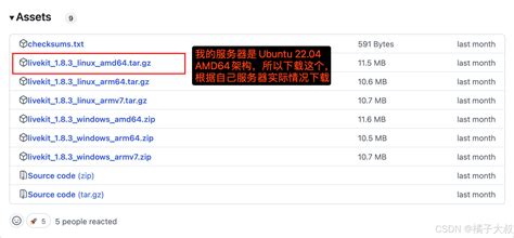 关于livekit音视频通话框架介绍及livekit Server的分布式多节点部署方案记录 20250205version183 关于livekit音视频通话框架介绍及livekit Server的分布式多节点部署方案记录 20250205version183
