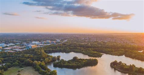 Tree Preservation Orders TPOs