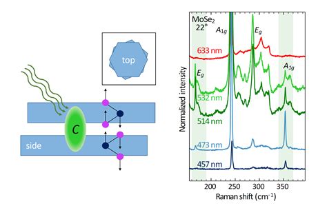 Interlayer Raman Modes In Twisted Bilayer Transition Metal Dichalcogenides Chair Of