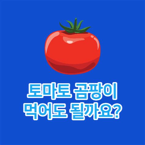 토마토 곰팡이 먹어도 될까요 보관하는 방법 알려드려요 네이버 블로그