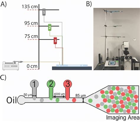 Microfluidic Device Design And Operation A Schematic Of The Download Scientific Diagram