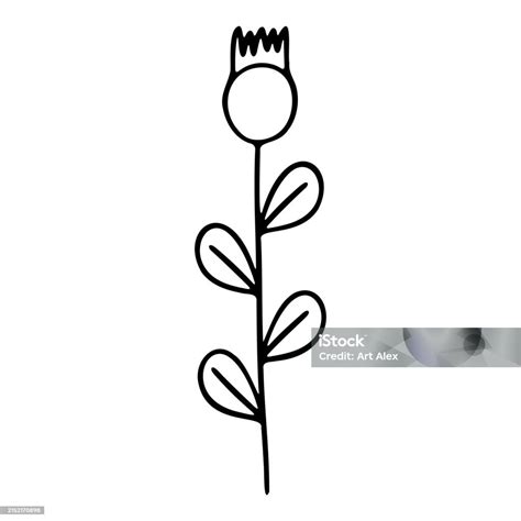 양귀비 꽃의 손으로 그린 실루엣입니다 벡터 일러스트 레이 션입니다 개체 그룹에 대한 스톡 벡터 아트 및 기타 이미지 개체 그룹 검은색 경기 조추첨 Istock