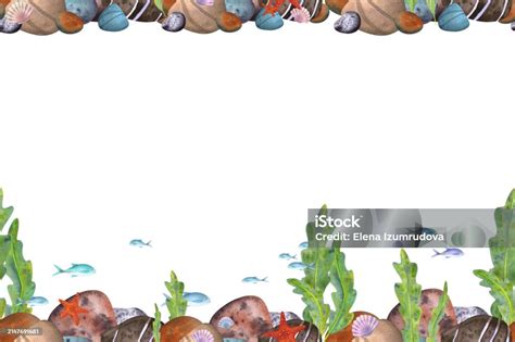 흰색 배경에 완벽 한 해양 패턴입니다 바다 돌 조류 물고기 조개 불가사리 수채화 그림입니다 직물 현수막 벽지 인쇄물 포장지 디자인 계절에 대한 스톡 벡터 아트 및 기타