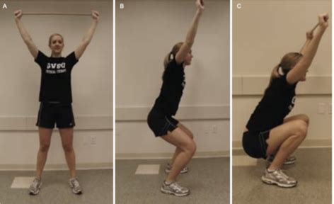 MS Midterm Flashcards Quizlet