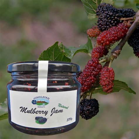 Mulberry Jam 370 Gm The Way We Were