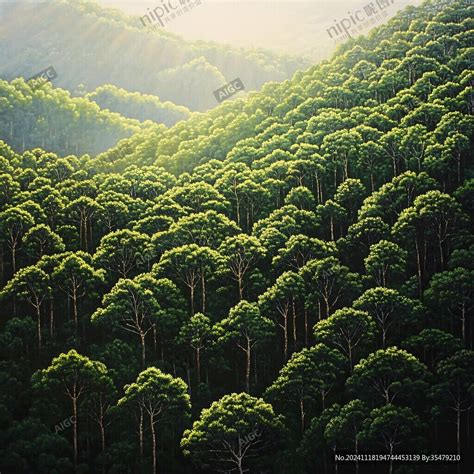 Ai创作图挺拔的桉树 桉树经济林 林业资源素材 桉树速生林 会仙桉树 巨幅森林图片 百年桉树群 巨幅森林壁纸 种满桉树的山 满山的桉树 针叶林阔叶林 林业发展素材 众木成林 经济速生林 人工林
