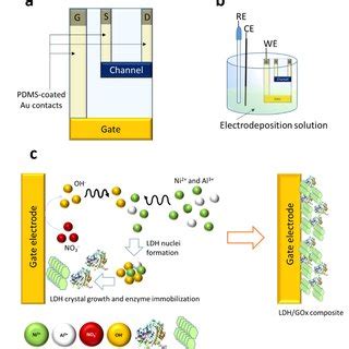 Sensor Architecture Scheme Of The Device Geometry A Experimental Download Scientific