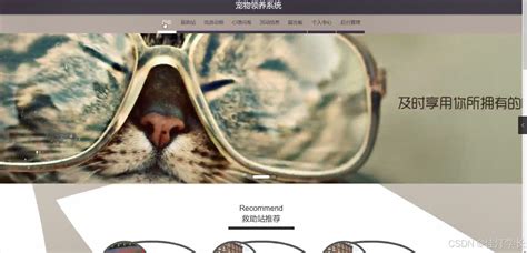 Java计算机毕业设计宠物领养系统（开题程序论文） Csdn博客
