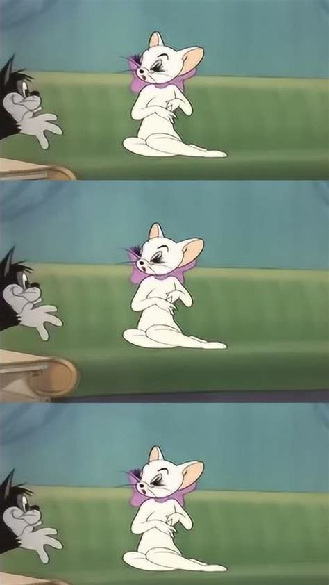 汤姆和白猫 杰瑞 大山谷图库