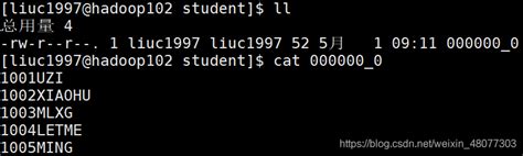 Hadoop之hive数据的导入与导出（dml）hadoop Load Data Csdn博客