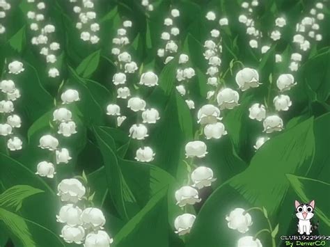 Волчий дождь 25 серия — Видео от ιllιlι ιl Anime Аниме ιllιlι ιl ВКонтакте