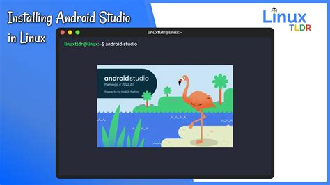 Complete Guide To Install Android Studio On Linux