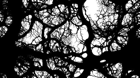 Free Vector Organic Tree Veins Structure
