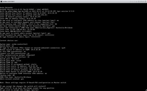 Aruba Aos8 Mobility Controllers Esxi And Initial Setup