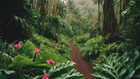 Exploring Kauai Hawaii Population A How To Guide Your 1 Kauai Resource