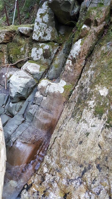 鳳来の岩のあれこれ 若駒山岳会