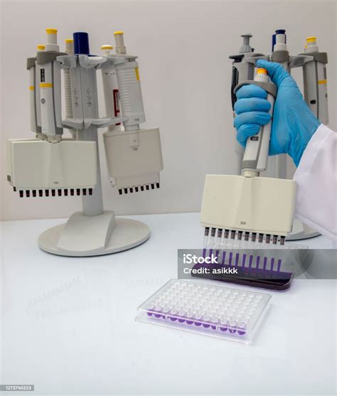 96 개의 우물이있는 Pcr 마이크로 플레이트의 실험실 멀티 채널 파이펫 부하 샘플에서 테스트를 위해 마이크로 플레이트에 생물학적 샘플을 적재하는 멀티 채널 파이펫 피펫에