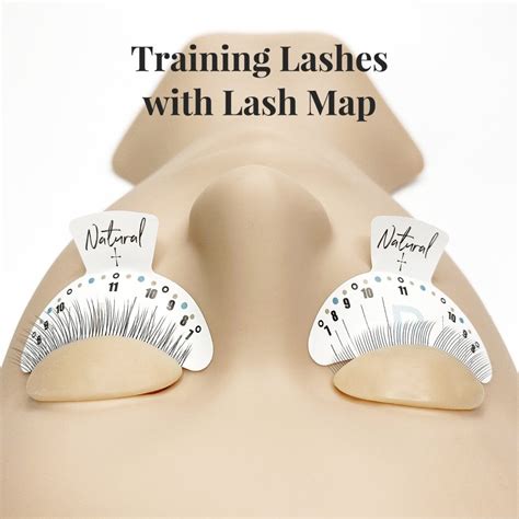Volume Lash Mapping Styles Ubicaciondepersonas Cdmx Gob Mx