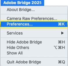 Install A Script In Adobe Bridge 2024 TrainingOnsite