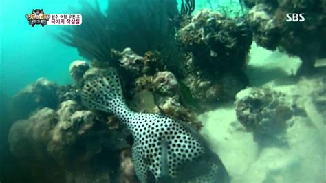 정글의법칙 130816 43 Youtube