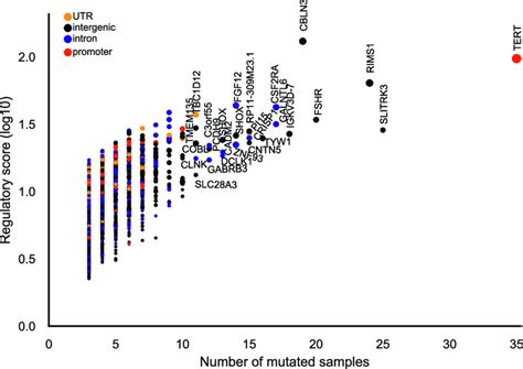 Significantly Functional Mutated Regulatory Elements The Dots Denote