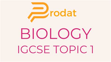 Igcse Computer Science Topic 7 Algorithm Design And Problem Solving