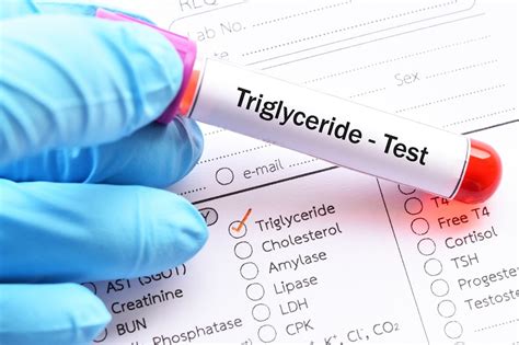 Triglycerides Your Guide The Leaf Nutrisystem Blog