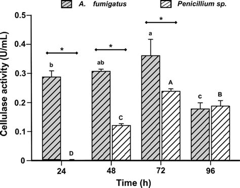 Cellulase Production Profile On Submerged Fermentation With Bsgw