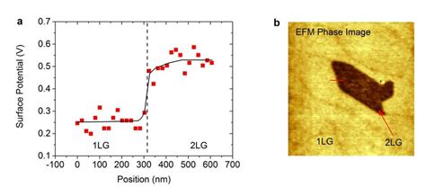 Figure S8 Lateral Spatial Resolution Of Surface Potential A