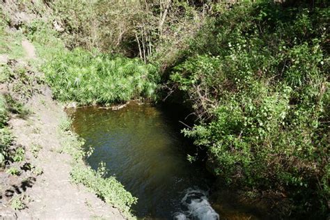 Gumpe Bilder Durchsuchen 308 Archivfotos Vektorgrafiken Und Videos