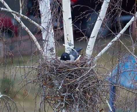 Create Meme Socket Pictures Meme