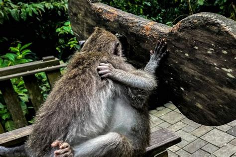 Gender Psychology Today