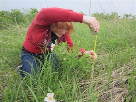 Plant Functional Traits Damschen Research Lab