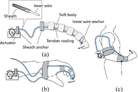 Figure From Reliability Analysis Of A Tendon Driven Actuation For Soft Robots Semantic Scholar