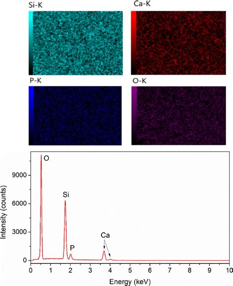 Edx Mapping Of Glass Sample X 0 Download Scientific Diagram