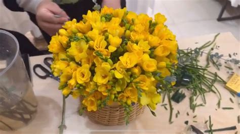 1월에꽃집일상꽃집vlog후리지아꽃바구니 1월플라워클래스꽃한다발의행복 ️ Youtube