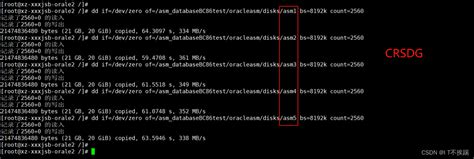 oracle 19c 集群rac安装（基于nfs共享存储） oracle 19c rac安装 csdn博客