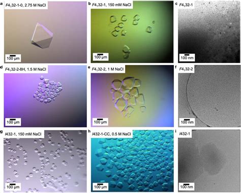 Optical Microscopy And Cryoem Characterization Of Designed Protein
