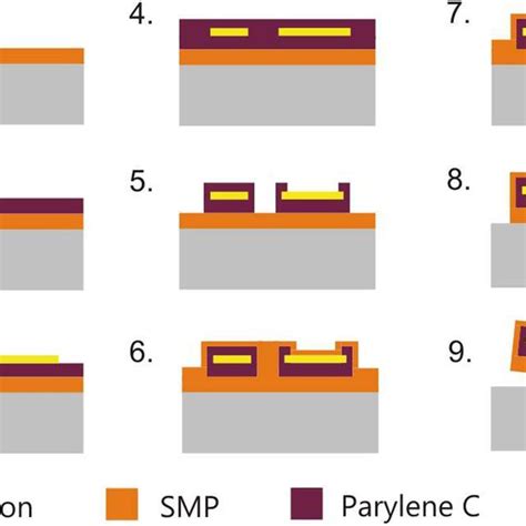 Schematic Of The Process Flow Of Probe Fabrication Download Scientific Diagram