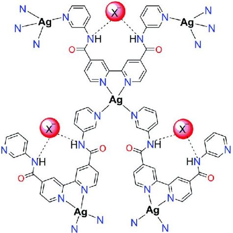 The Proposed Structure Of The Coordination Polymer 3Áagx N X No 3 Download Scientific