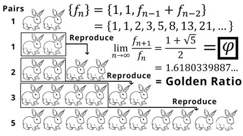 Exercise 4 Fibonaccis Original Rabbit Reproduction Sequence And The