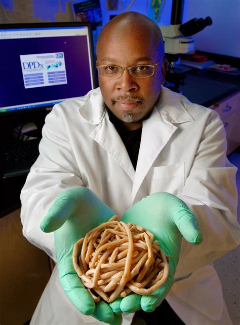 Как думаете какие глисты самые жуткие Можете в ответу прикреплять фото Ответы Mail